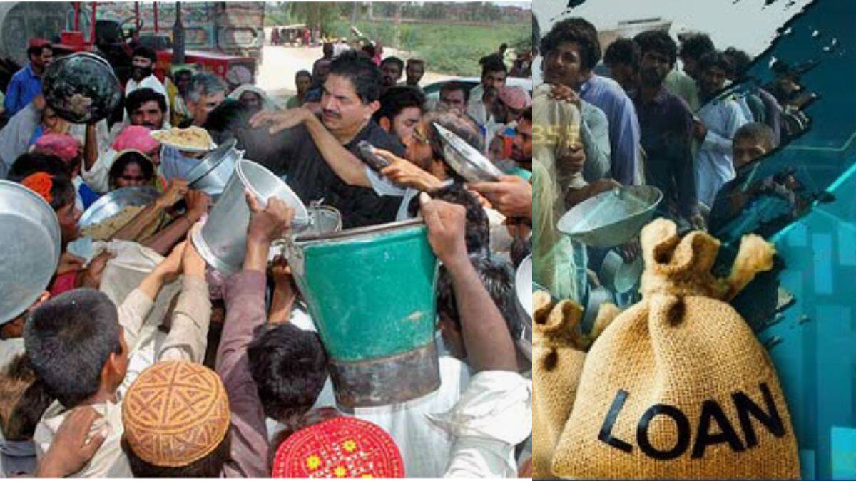 Pakistan allocates Rs 1.2 million to employ cats to hunt rats in ...