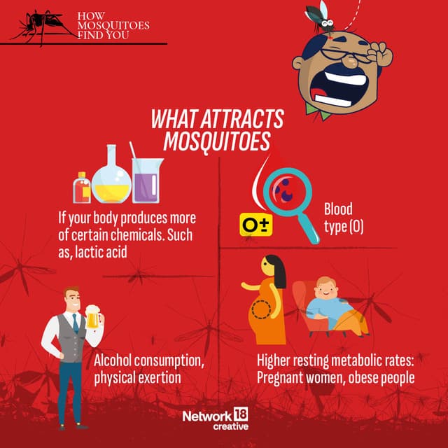 In Graphics | How do mosquitoes detect people, spread diseases? – Firstpost