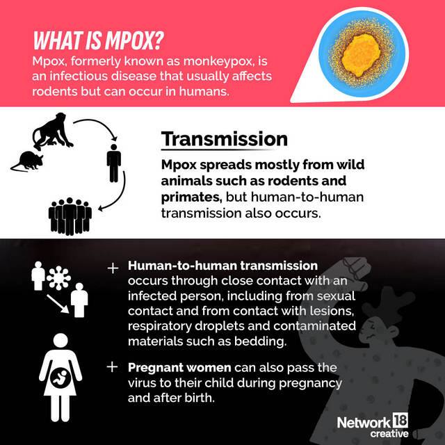 In Graphics | A simple guide to understanding mpox – Firstpost