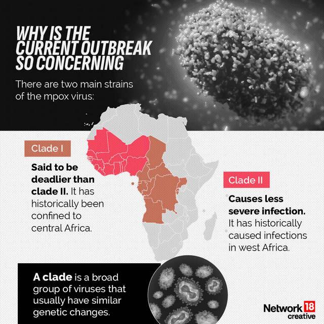 In Graphics | A simple guide to understanding mpox – Firstpost