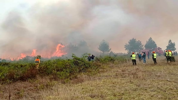 15 dead in Peru as wildfires scorch thousands of hectares, PM blames ...