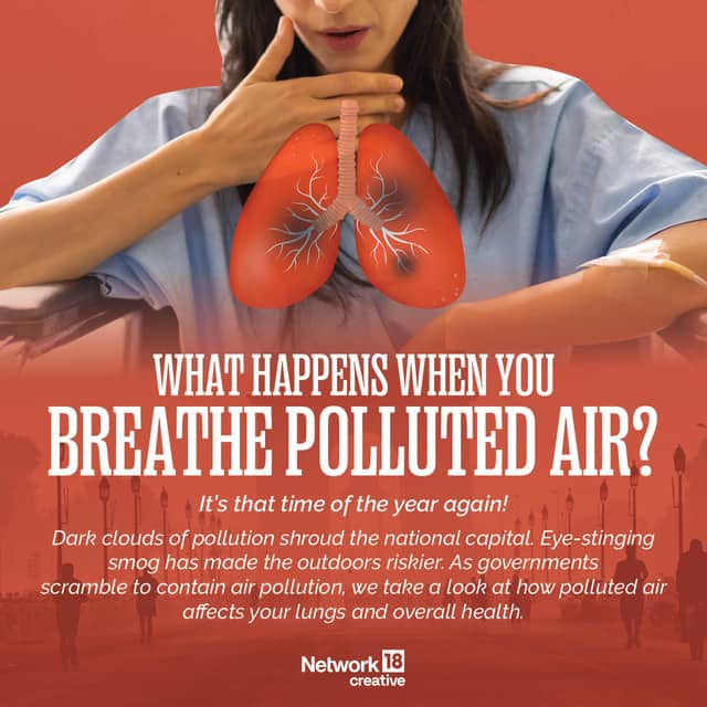 In Graphics | What breathing polluted air does to your body? – Firstpost