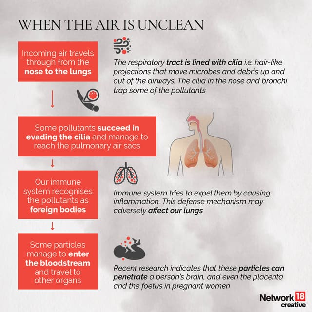 In Graphics | What breathing polluted air does to your body? – Firstpost