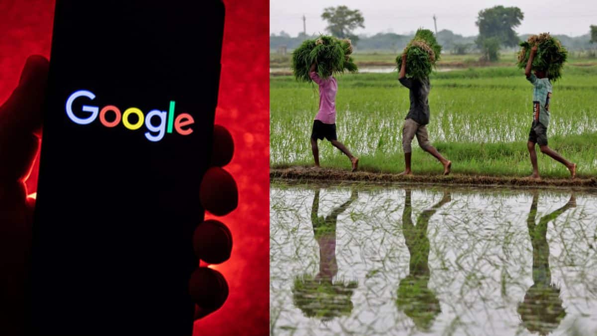 Google hopes its AI-based smart farming helps bring the next Green ...