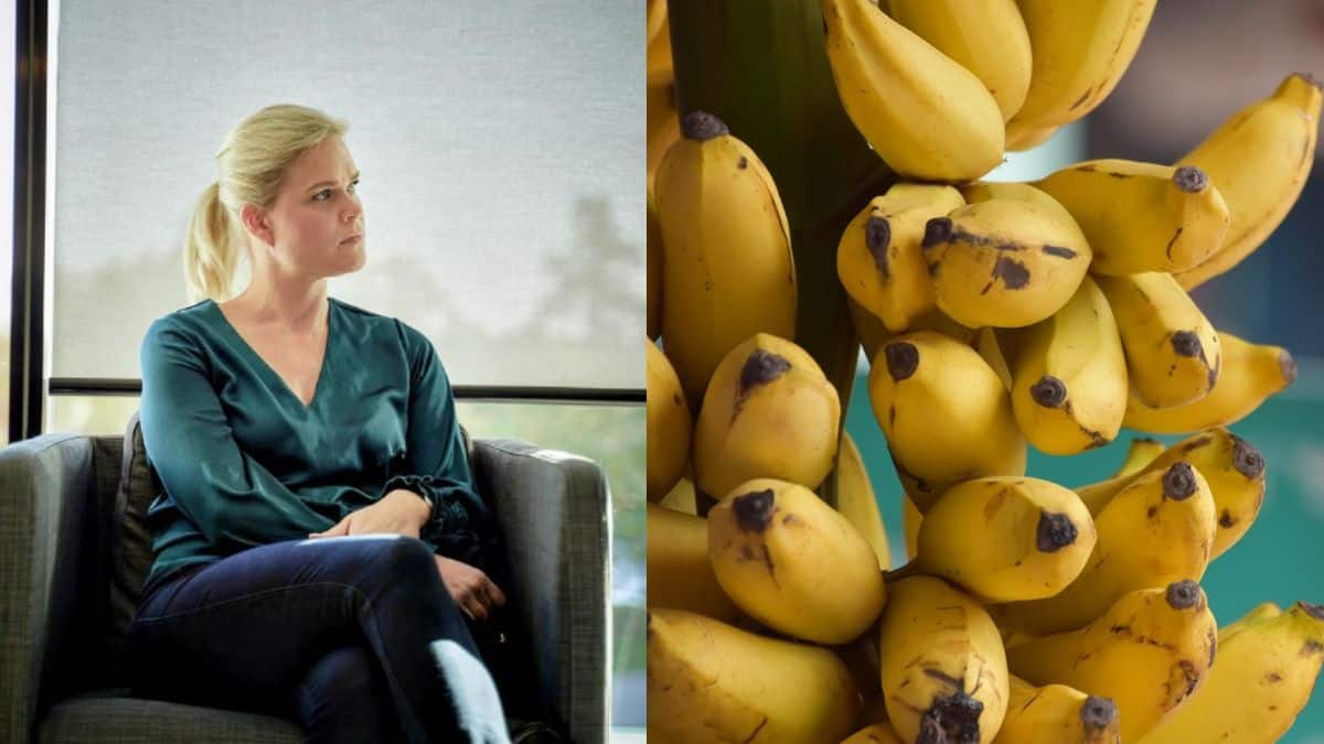It's bananas! Why a Swedish minister has banned bananas on official ...
