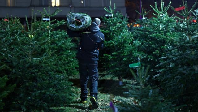 Christmas tree syndrome: What is this illness that makes you sneeze ...