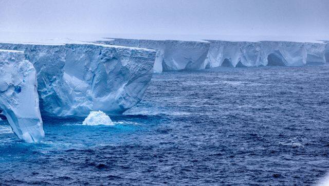 World’s biggest iceberg A23a to collide with South Georgia island: What could be the impact ...