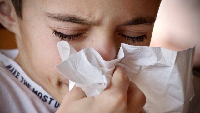 Christmas tree syndrome: What is this illness that makes you sneeze ...