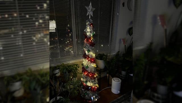 Skinny Christmas trees are taking over the holiday season: Here’s why ...