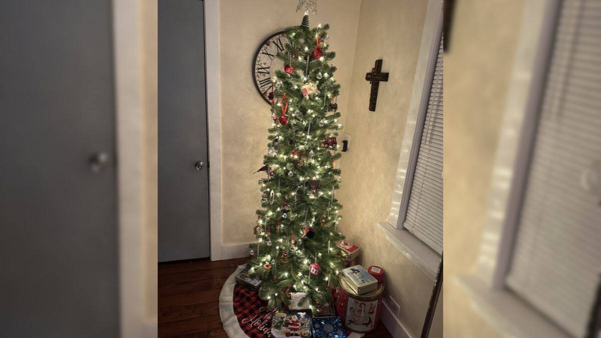 Skinny Christmas trees are taking over the holiday season: Here’s why ...