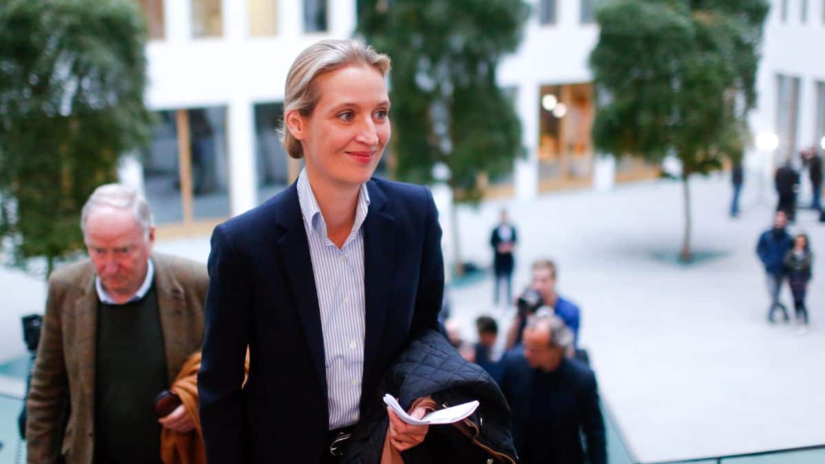 Elon Musk to interview Alice Weidel, far-right AfD leader from Germany ...