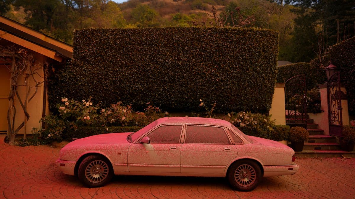 What is the pink powder being dropped from planes to fight California ...