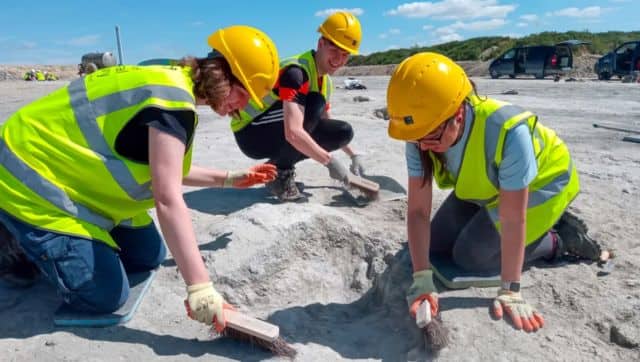 What is the ‘dinosaur highway’ uncovered by scientists in England ...