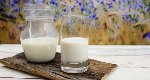 Is cockroach milk better than cow’s milk? – Firstpost