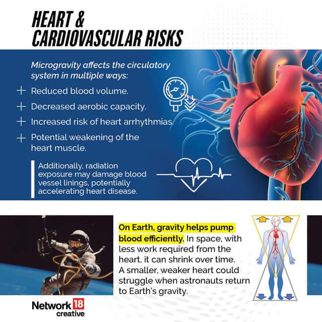 In Graphics | How does the human body change in space? – Firstpost