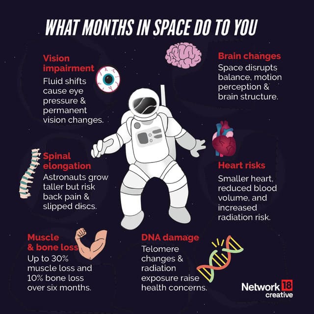 In Graphics | How does the human body change in space? – Firstpost