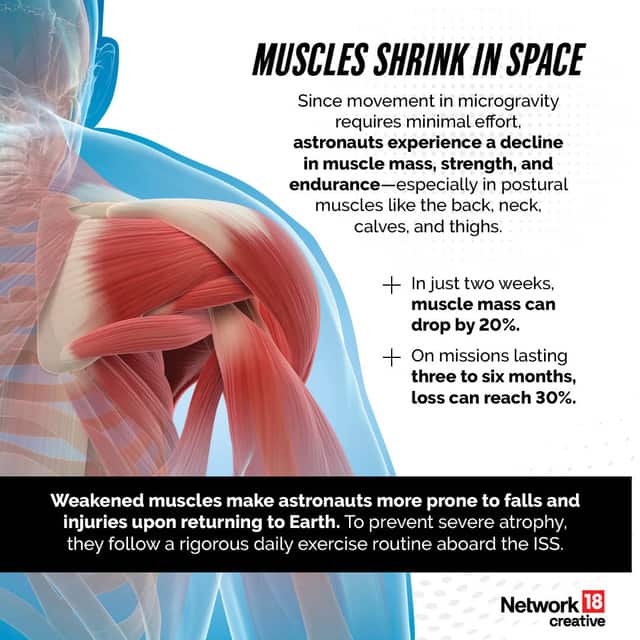 In Graphics | How does the human body change in space? – Firstpost