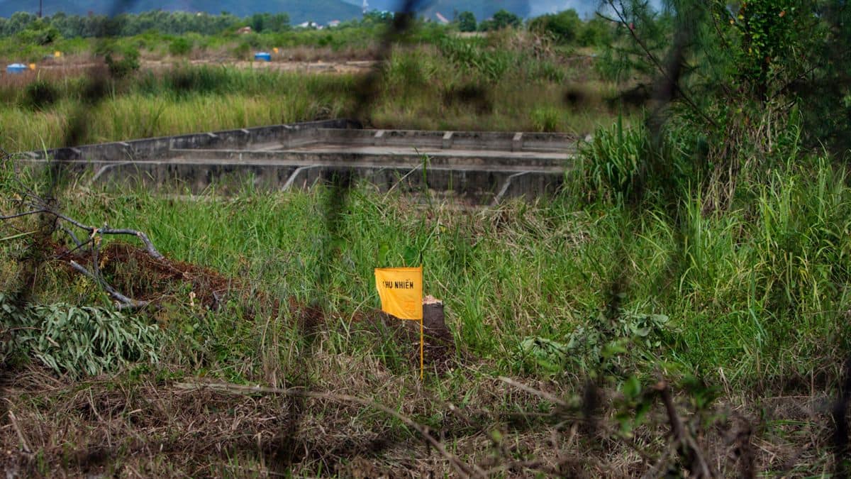 50 years since Vietnam War: What is the toxin Agent Orange? How deadly ...
