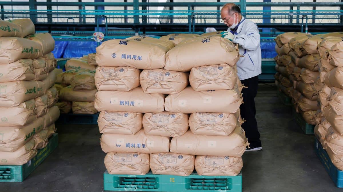 Japan’s rice emergency: What’s behind the shortage of the staple ...