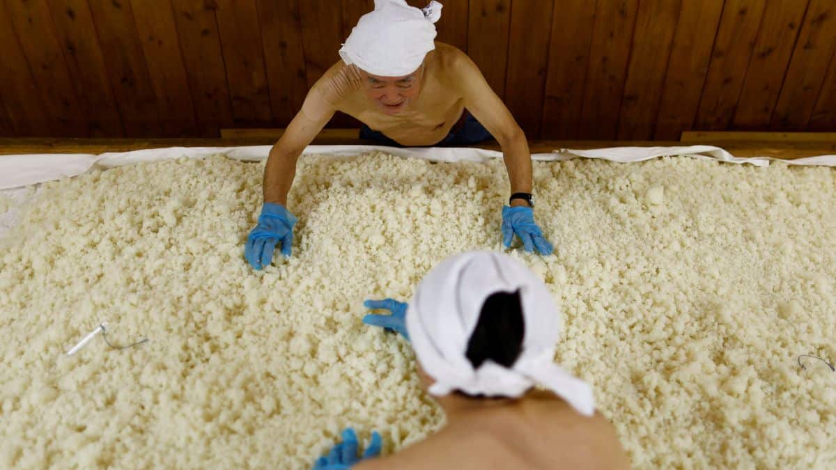 Japan’s rice emergency: What’s behind the shortage of the staple ...