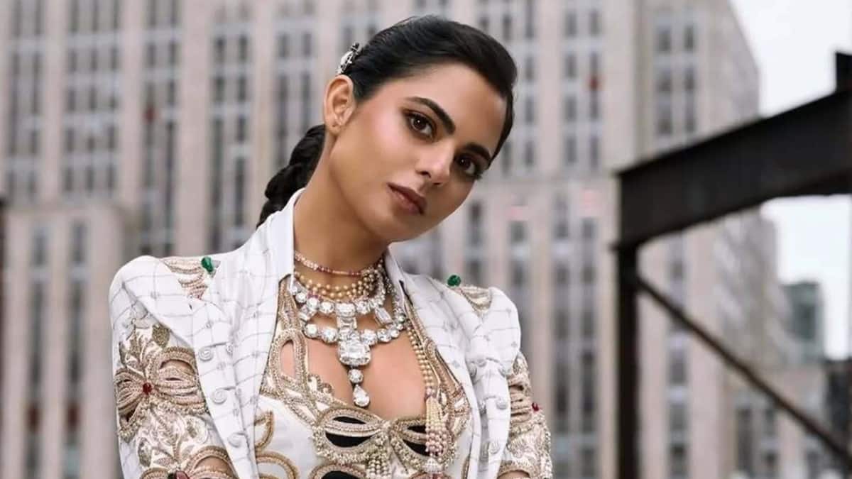 Met Gala 2025: Isha Ambani flaunts 'Ocean's 8' Cartier necklace at the event once commissioned ...