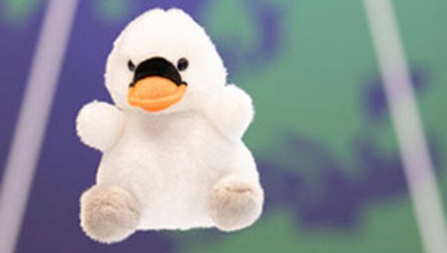 Axiom-4 mission: Why are astronauts carrying a soft toy named 'Joy' to ...