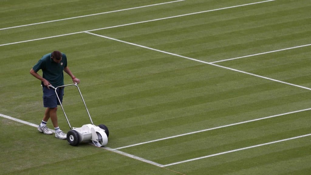 Wimbledon 2025: How grass courts at Wimbledon are prepared – Firstpost