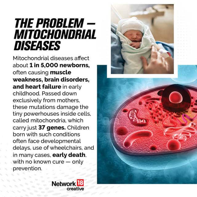 Eight ‘three-parent’ children born in UK. Why this stops genetic ...