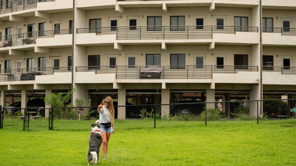 Some US colleges are welcoming pets in students’ dorms. Here’s why ...
