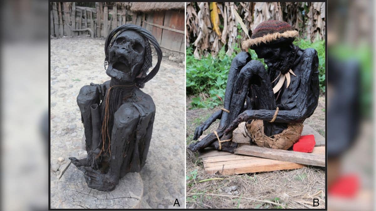 Could the world’s oldest mummies have come from Asia? – Firstpost