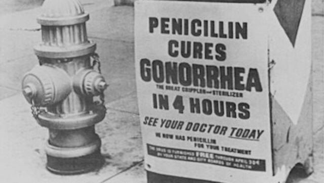 History Today: How Alexander Fleming discovered Penicillin – Firstpost