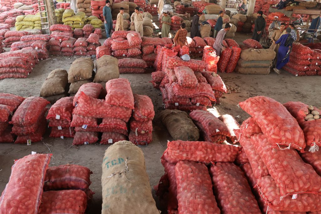 Tomato prices soar 400%: How shutting down of Afghanistan border is ...