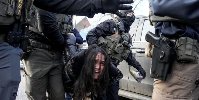 Who is Aliyah Rahman, a techie forcefully dragged out of car by ICE in ...