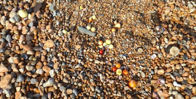Chips, onions wash ashore on England’s coast. The science, explained ...