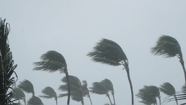 Cyclone Horacio is the first Category 5 storm of 2026: Will India be ...