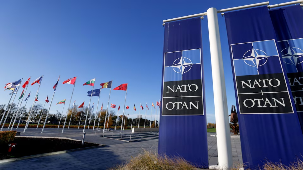 Greenland gambit & Iran tensions: Nato parliamentarian shares how the ...