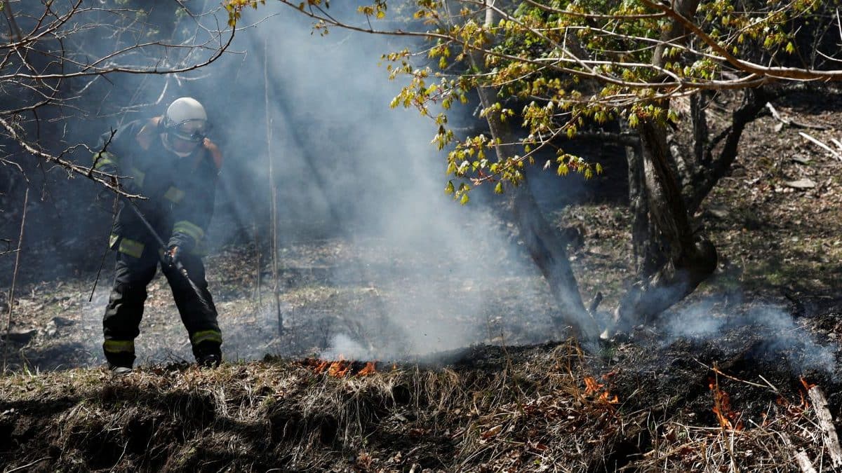 Japan deploys 1,400 firefighters as wildfires rage for fifth day in ...