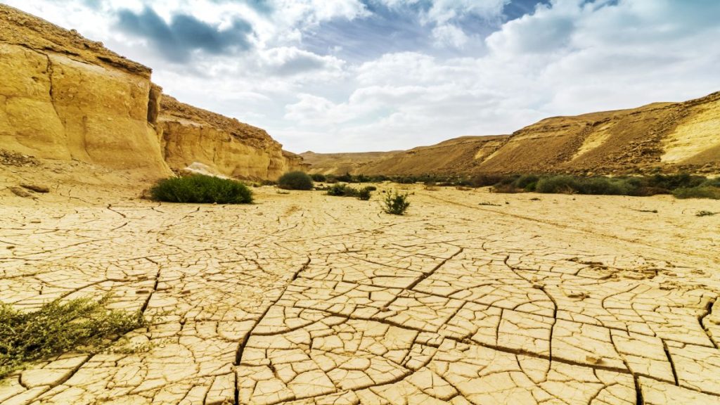 In 1877, a super El Niño killed millions. How deadly will it be this ...
