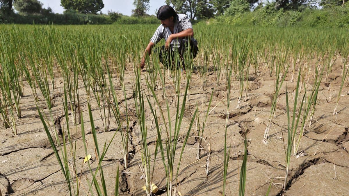 Is a ‘super’ El Niño bad news for India’s monsoon? – Firstpost