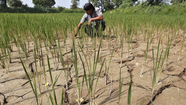 Is a ‘super’ El Niño bad news for India’s monsoon? – Firstpost
