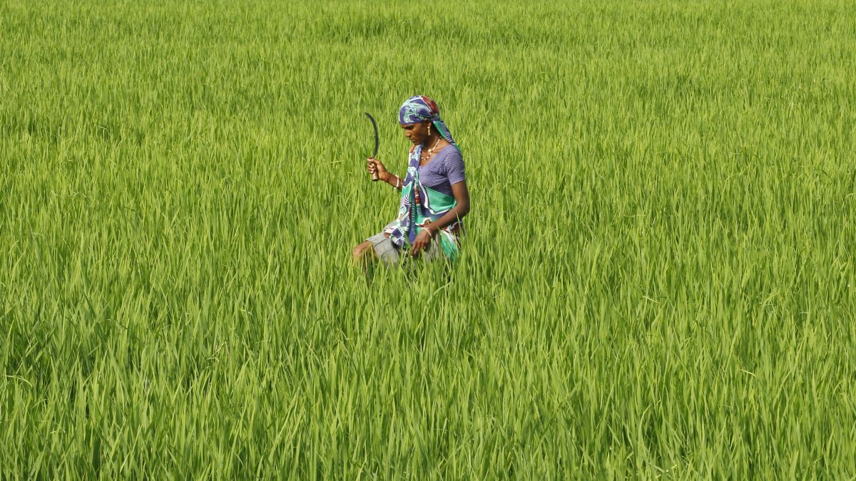 Is a ‘super’ El Niño bad news for India’s monsoon? – Firstpost