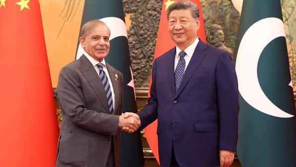 Xi and Sharif meet in Beijing to advance China-Pakistan partnership ...
