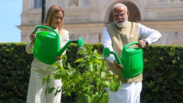 Watch: PM Modi plants black mulberry sapling with Meloni in Rome as a ...