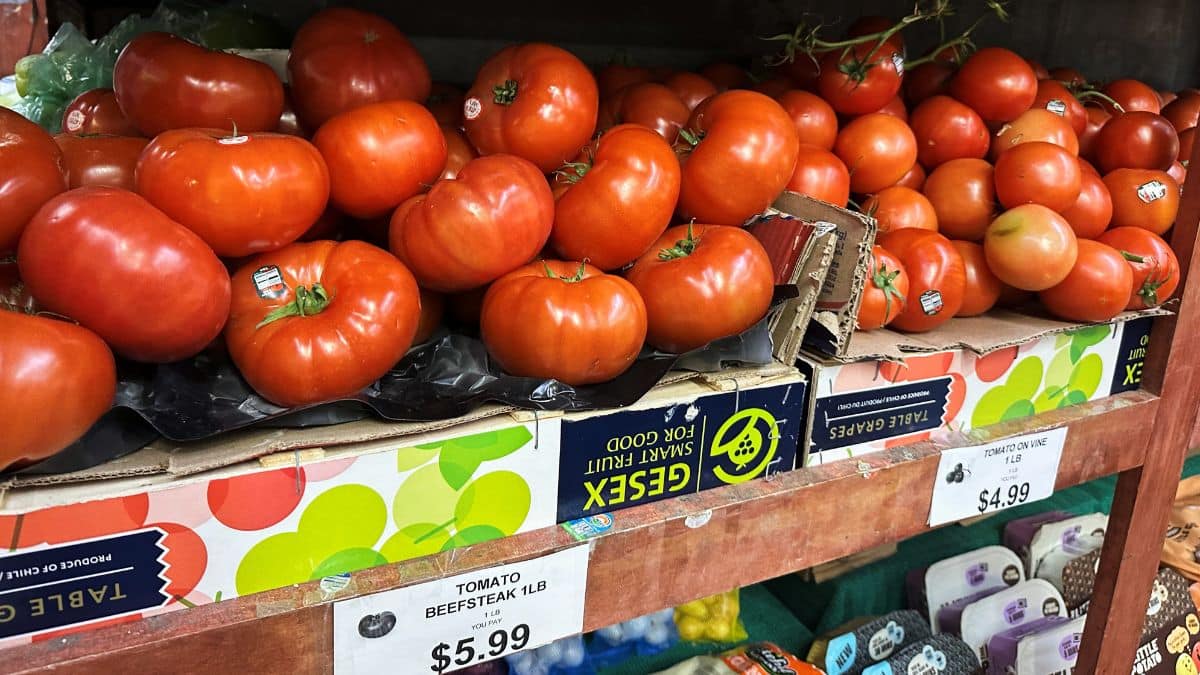 How tomatoes have become the latest symbol of America's affordability ...