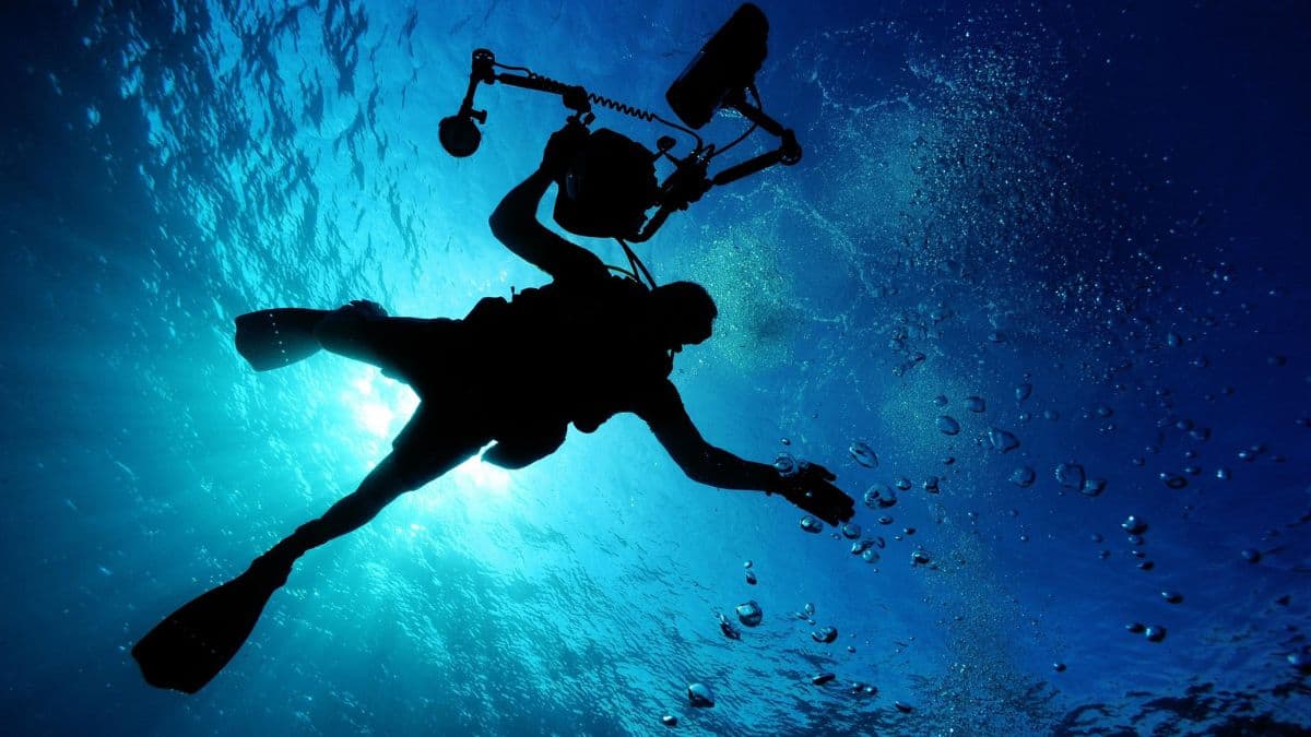 Here’s what experts believe killed 5 Italian tourist divers in Maldives ...