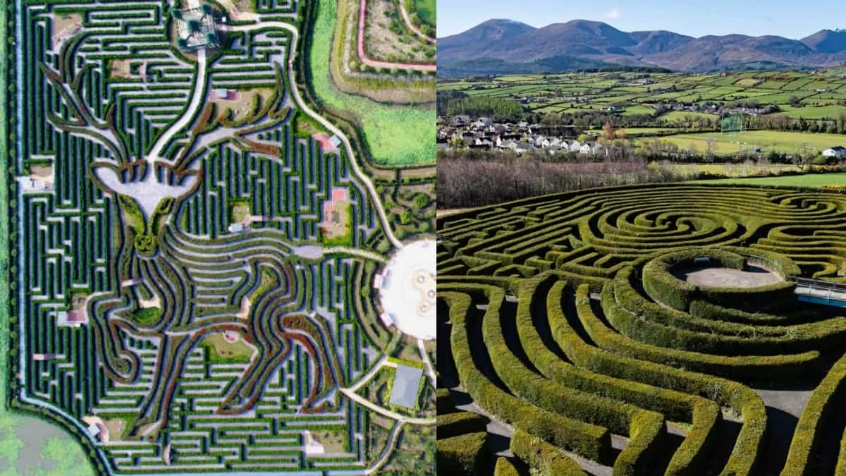 Top 5 most confusing mazes around the world: Would you dare to enter ...