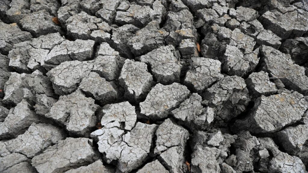 Weak winds, incomplete conditions, El Niño: Why Indian monsoon is ...