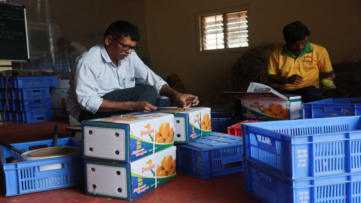 Why Japan has banned the Indian mango after 20 years – Firstpost