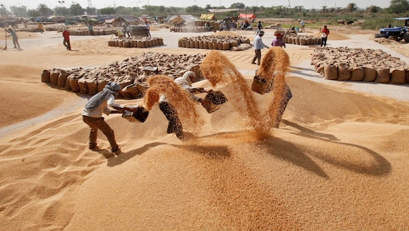 Record rice stocks, five-year-high wheat reserves strengthen India's ...