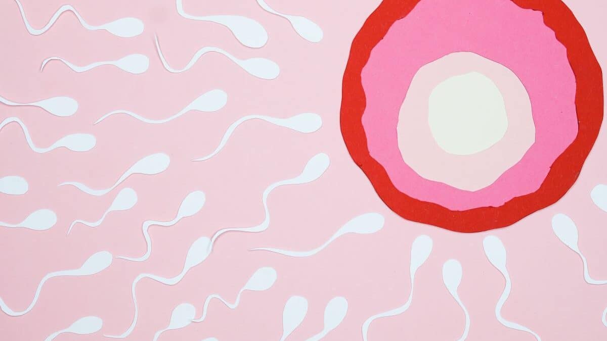 When IVF goes wrong: Two families, two continents and one question ...